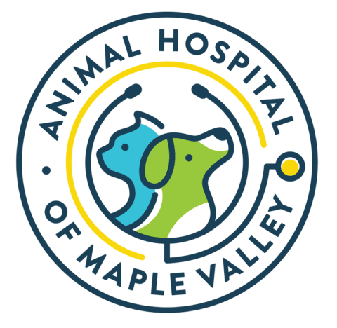 Veterinarian & Pet Hospital in Maple Valley, WA | Animal Hospital of ...