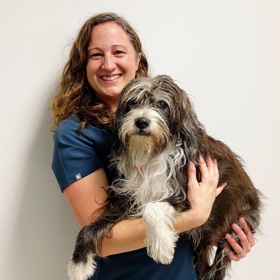 Veterinary Clinic in Maple Valley, WA | Animal Hospital of Maple Valley