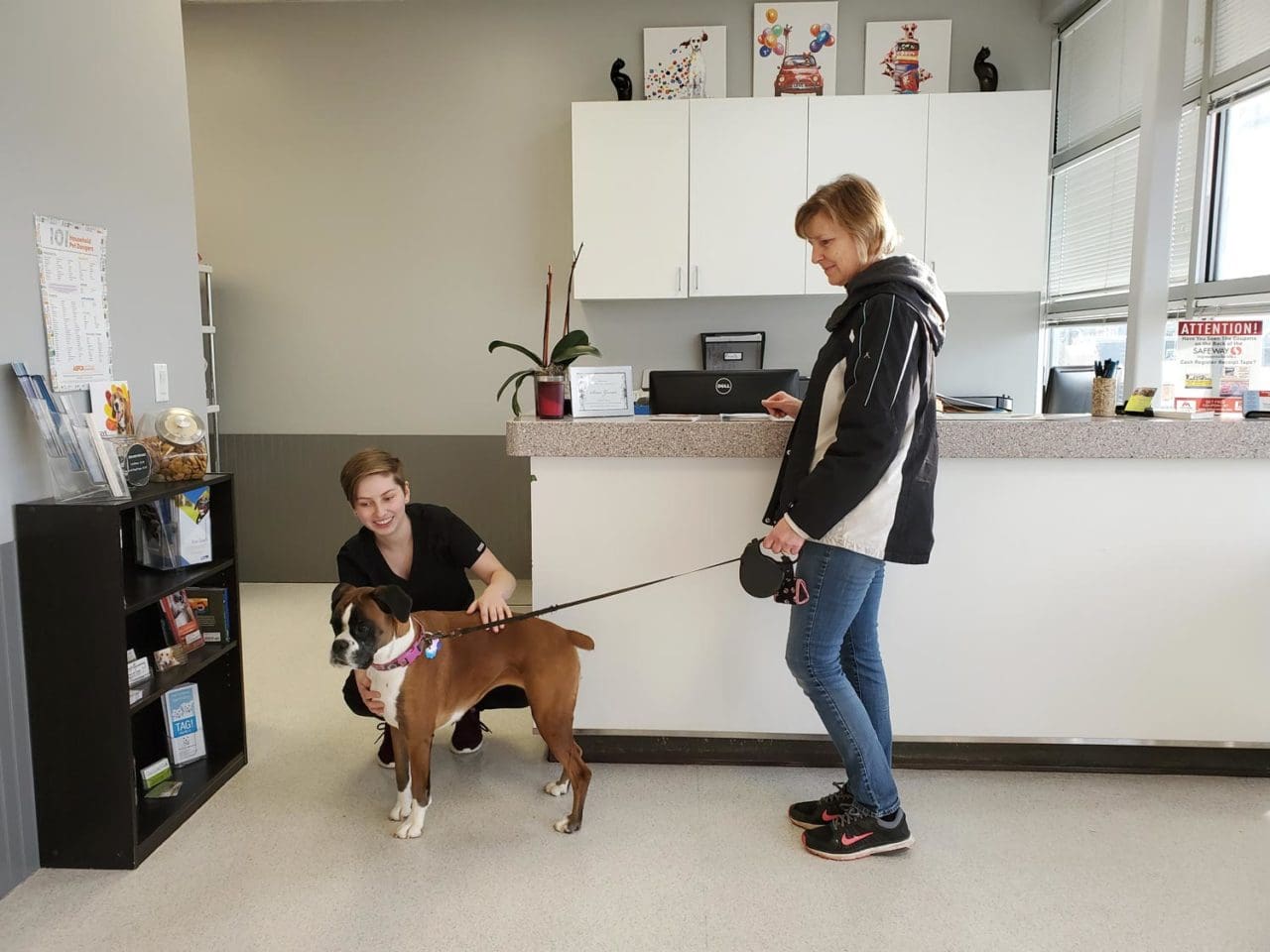 Vet Appointment in Maple Valley, WA | Animal Hospital of Maple Valley